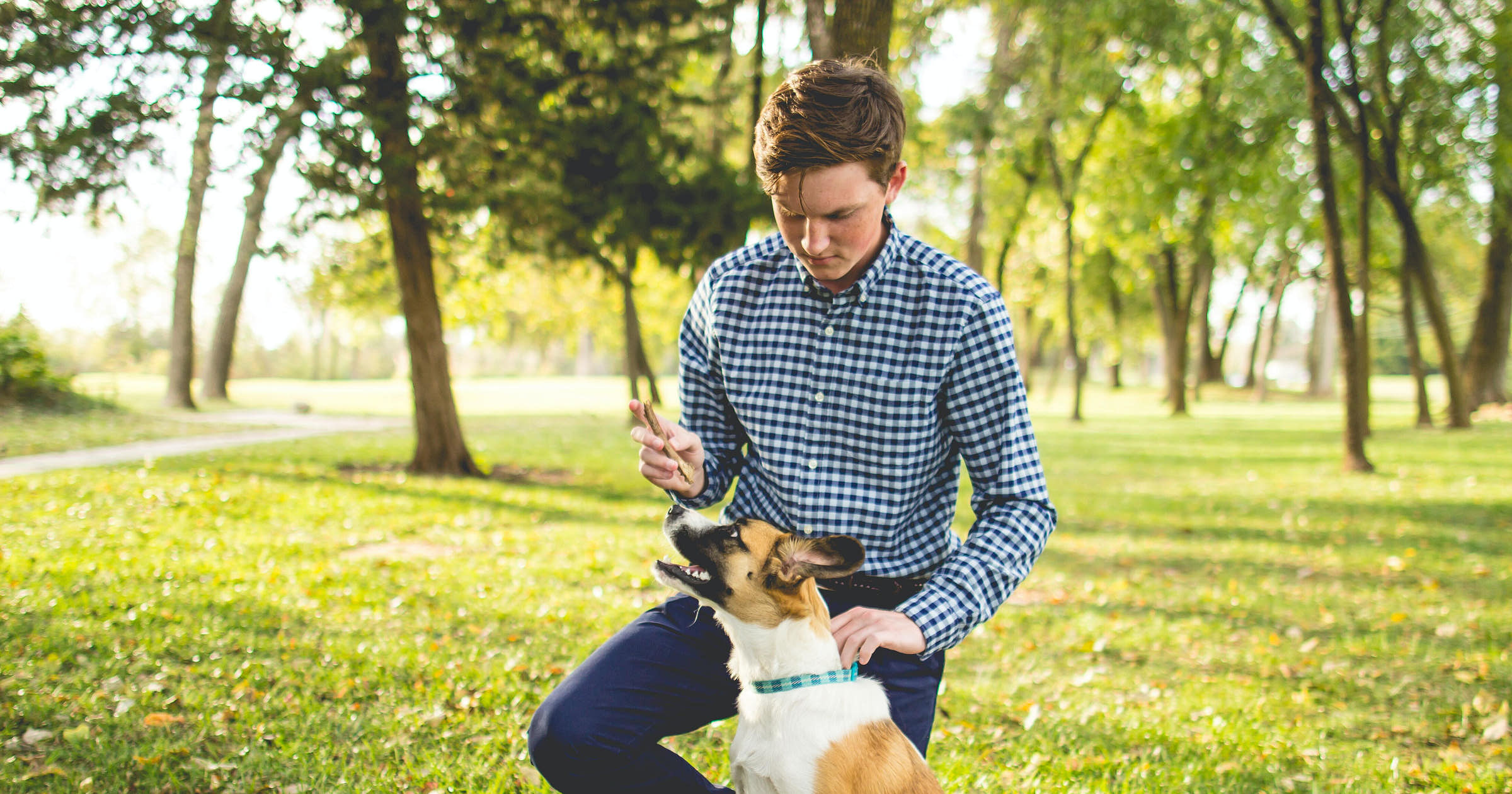 Animal Communication Business Names