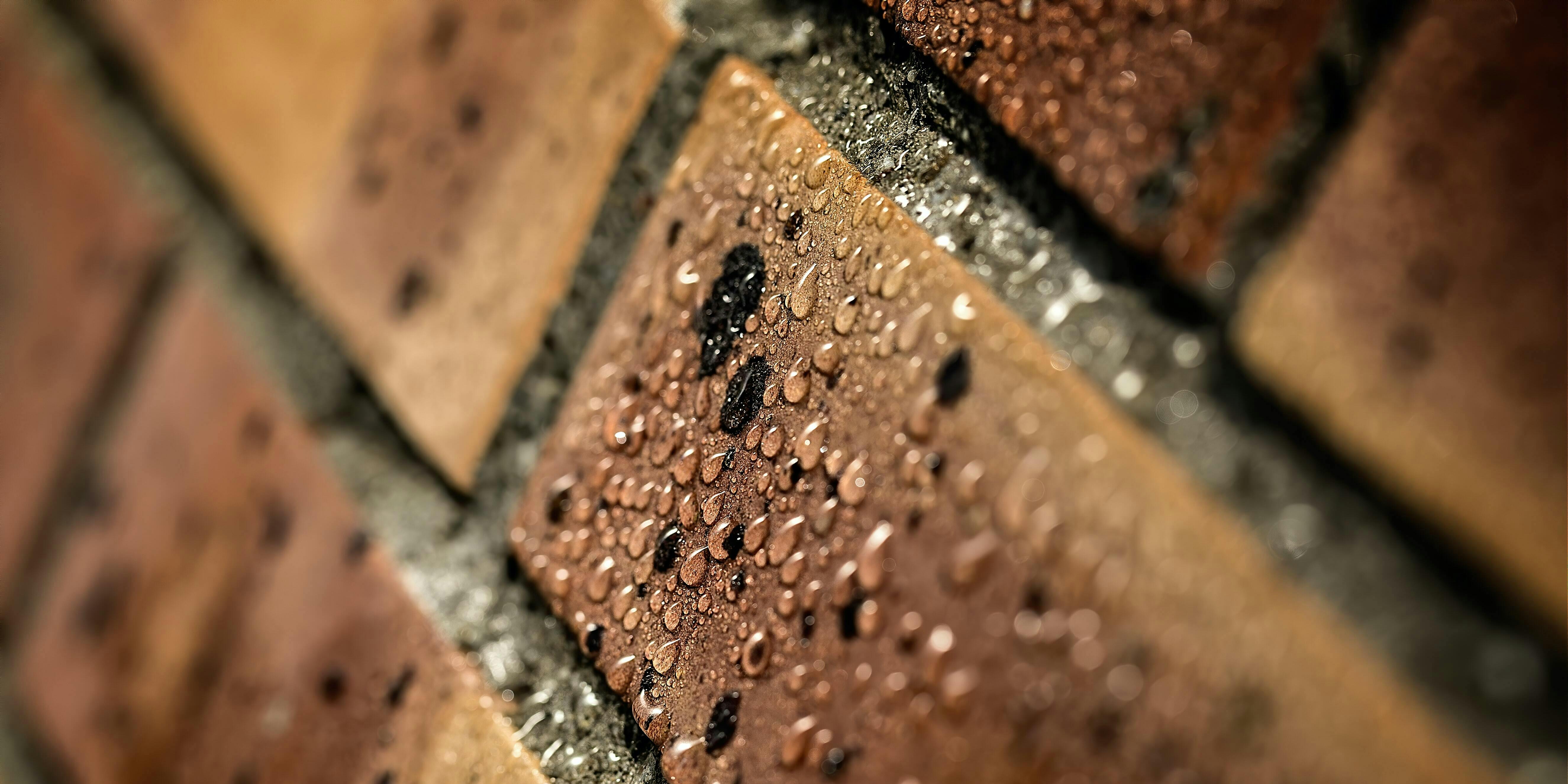 Waterproofing Business Names + Free Logos