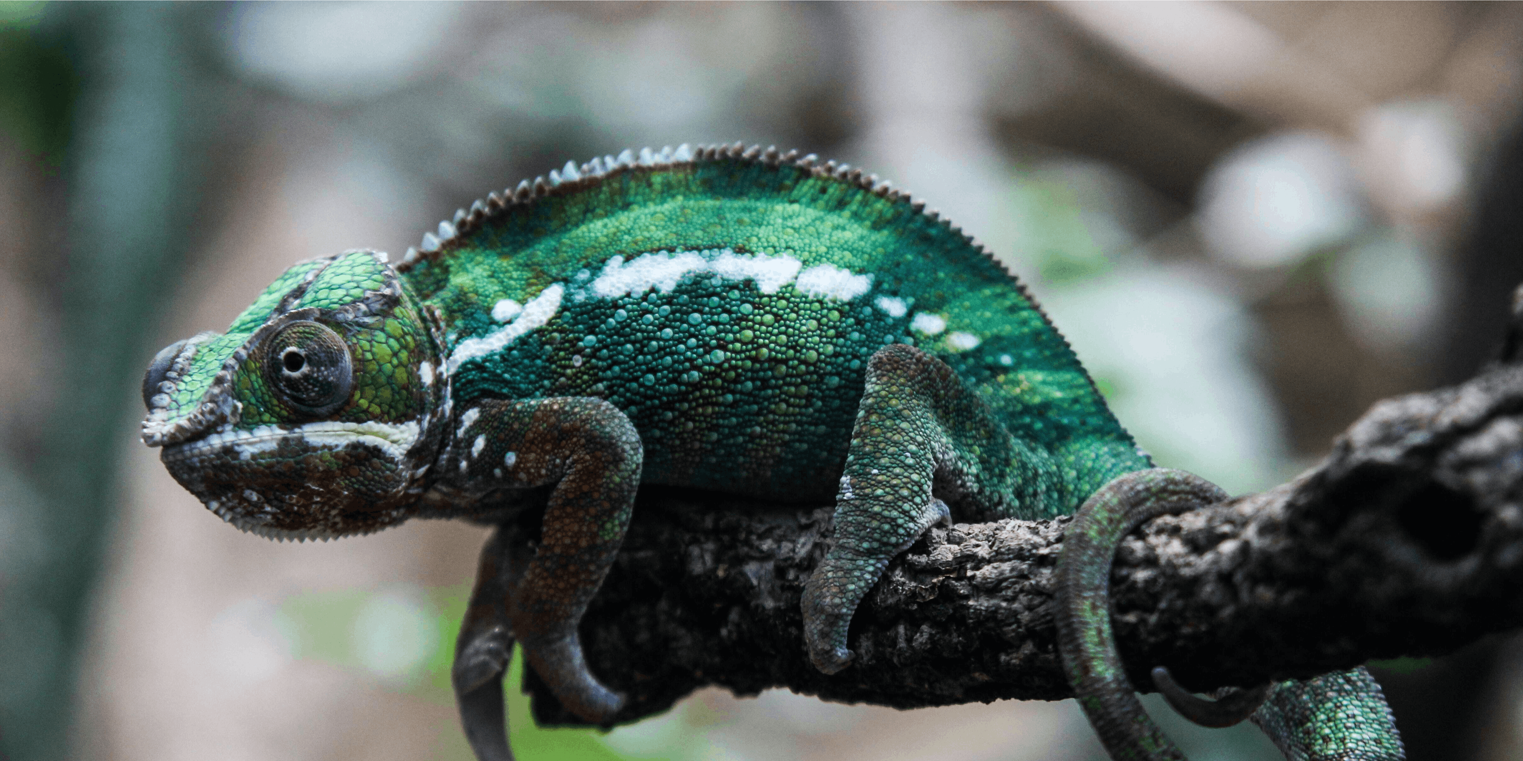 Nombres adaptables para negocios