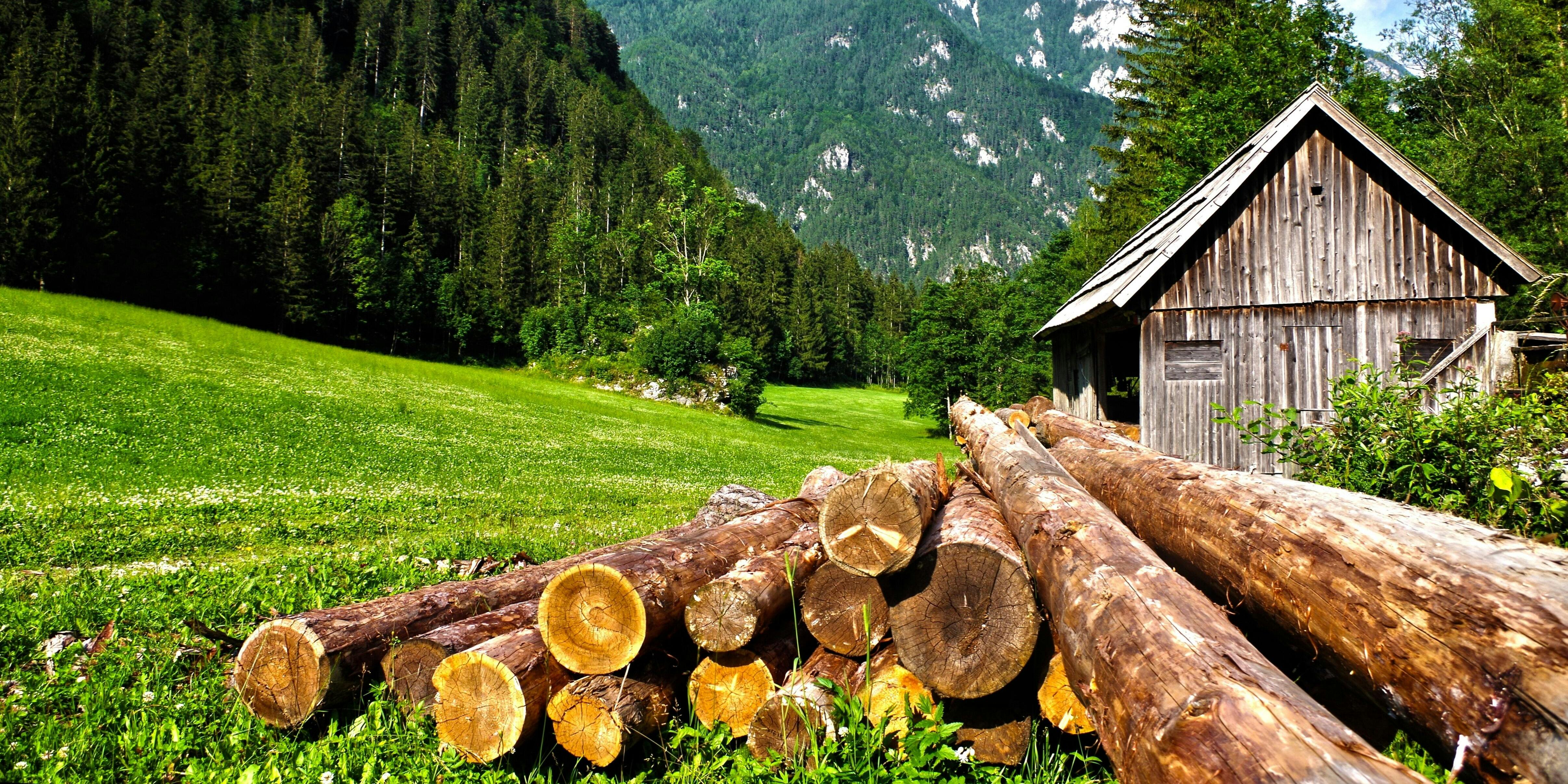 Logging Business Names + Free Logos