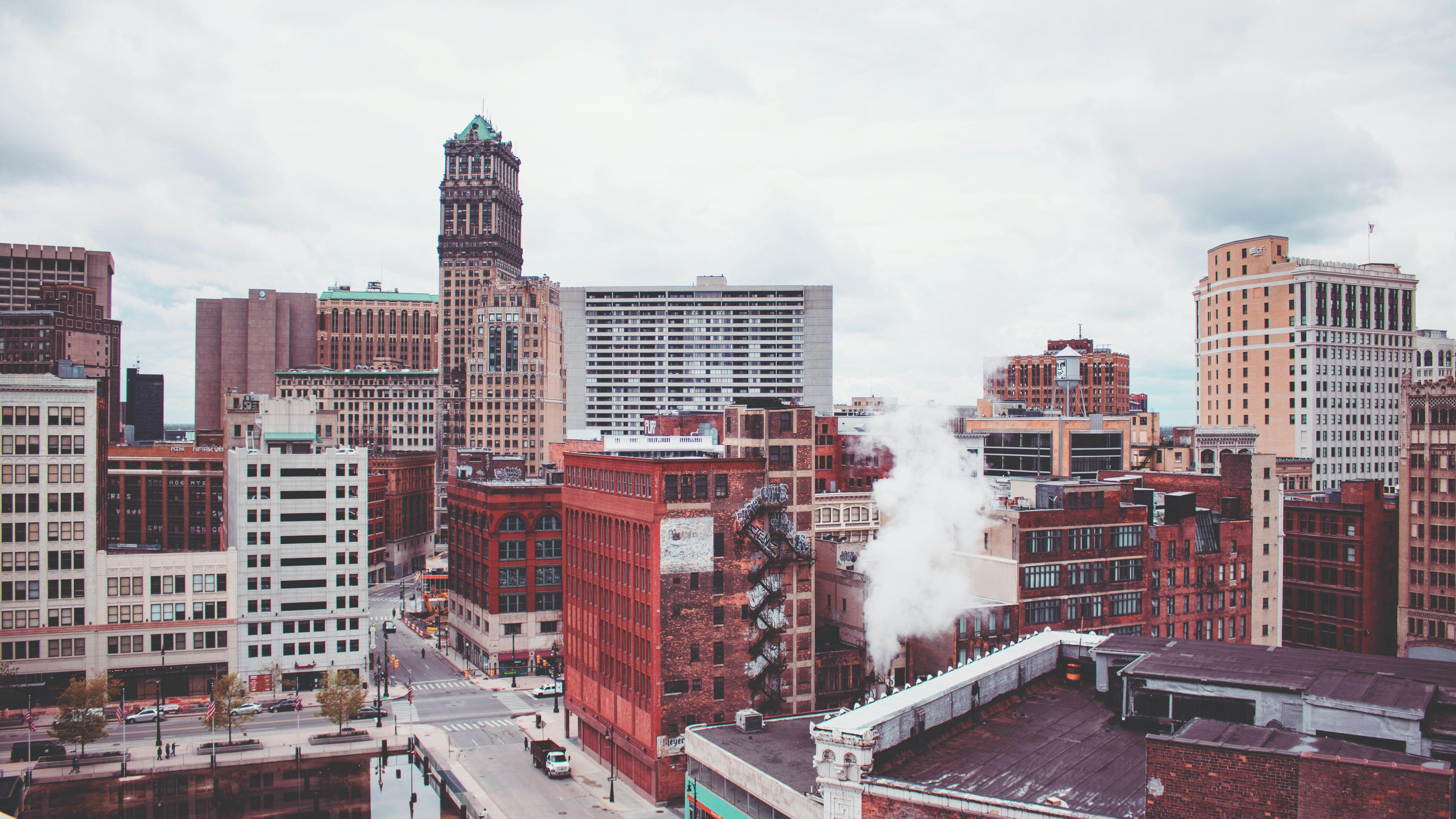 Michigan Business Entity Search