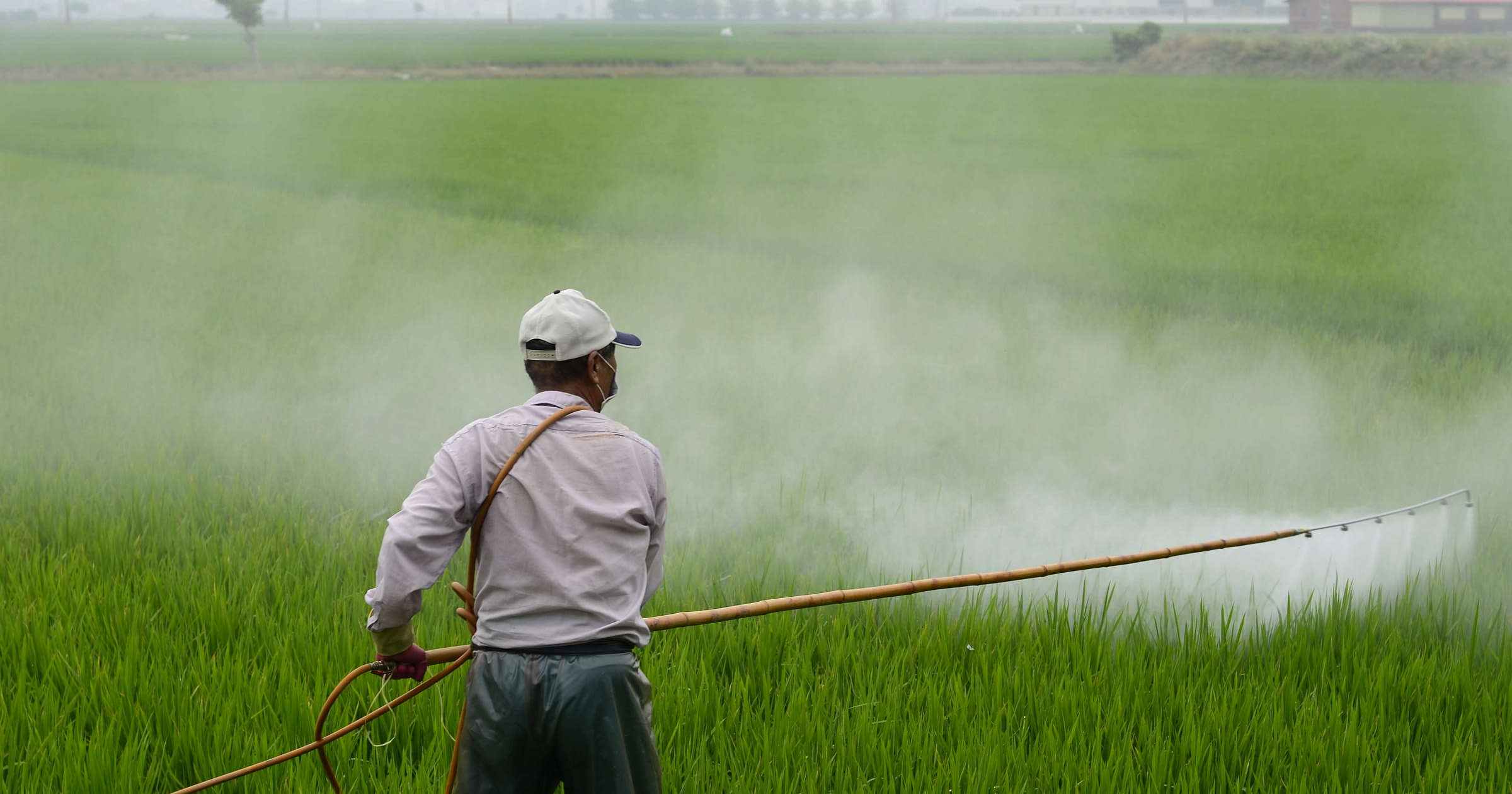 Pest Control Business Names