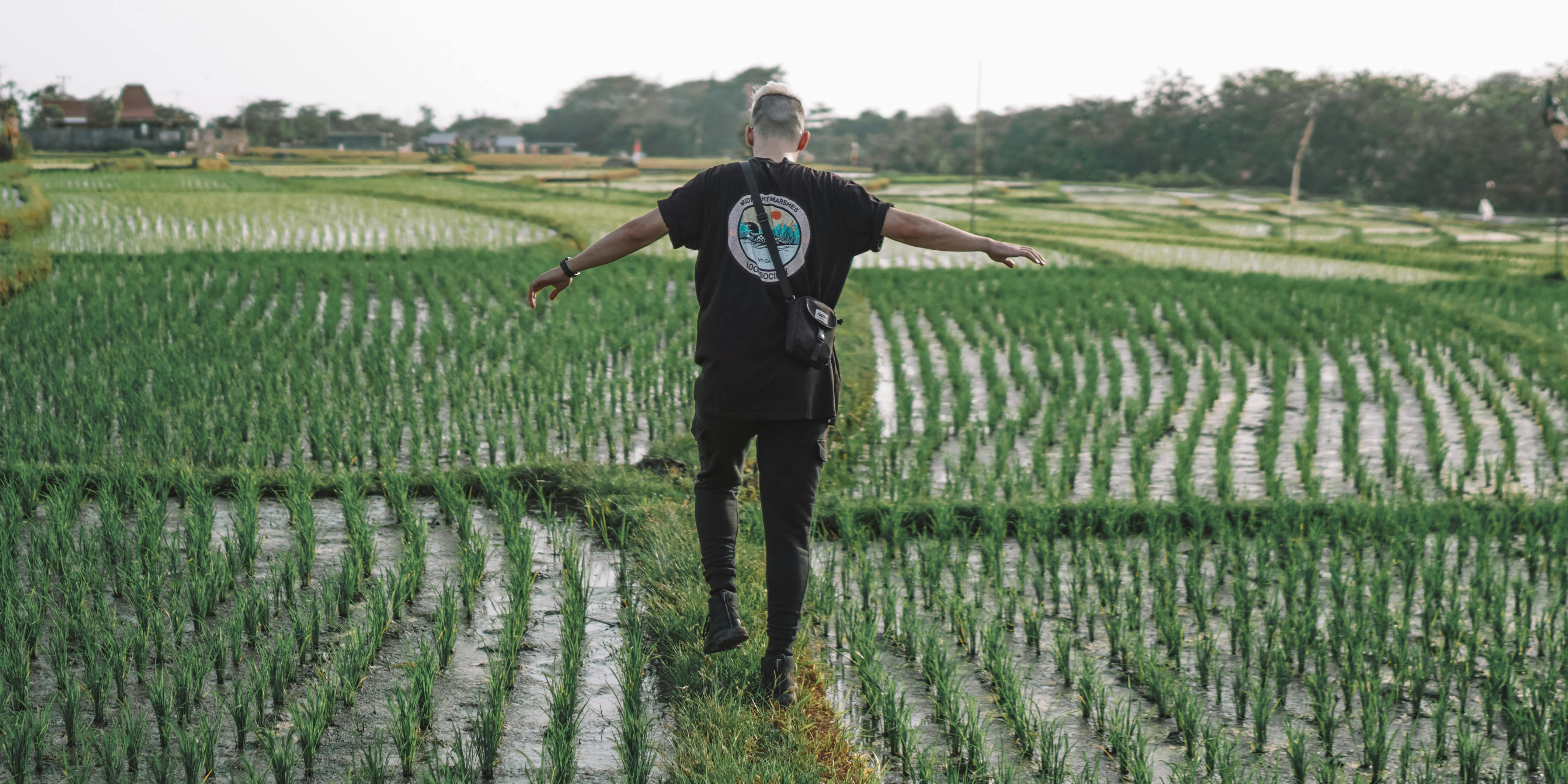 Rice Business Names + Free Logos