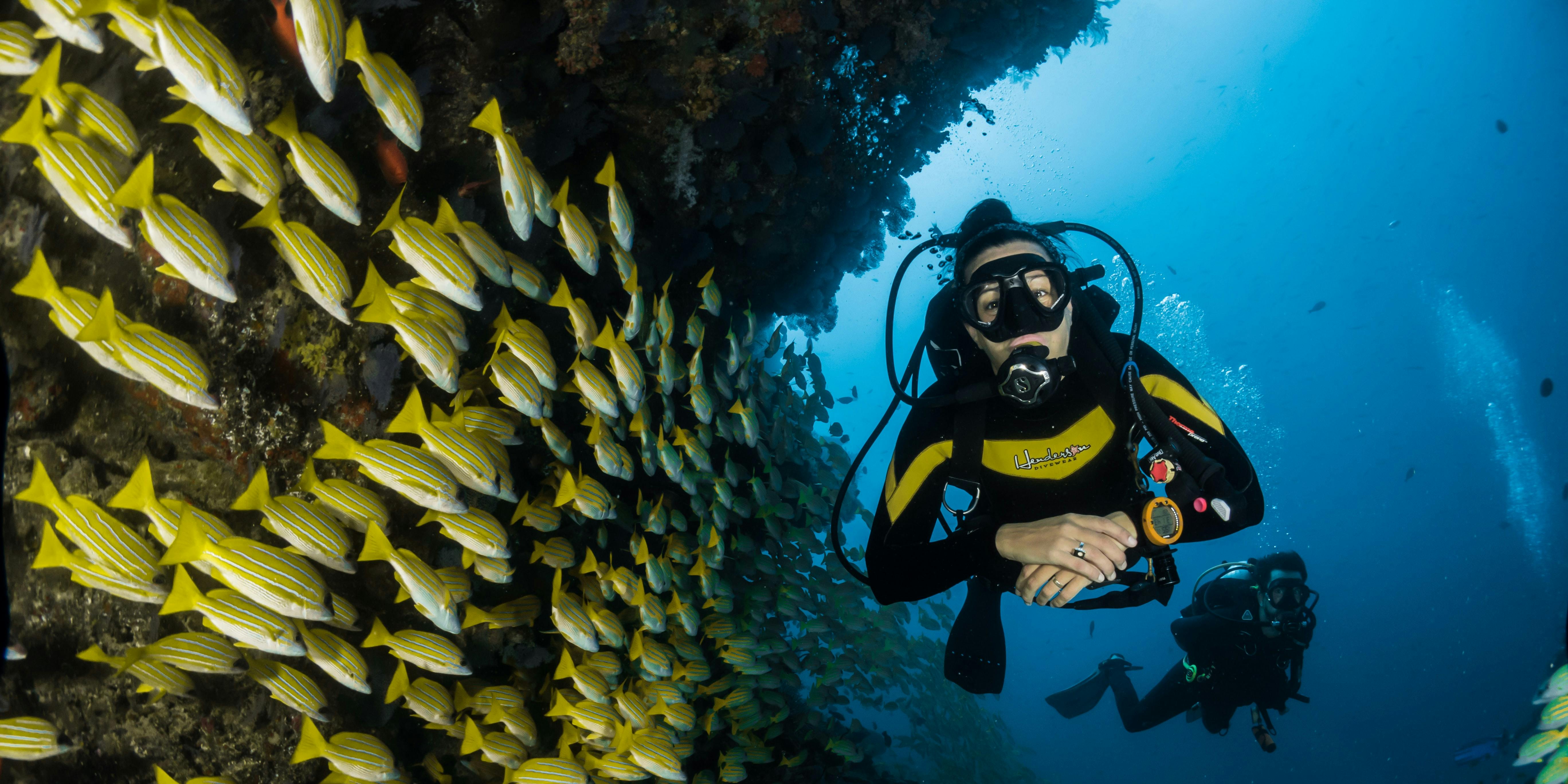 Scuba Diving Business Names + Free Logos