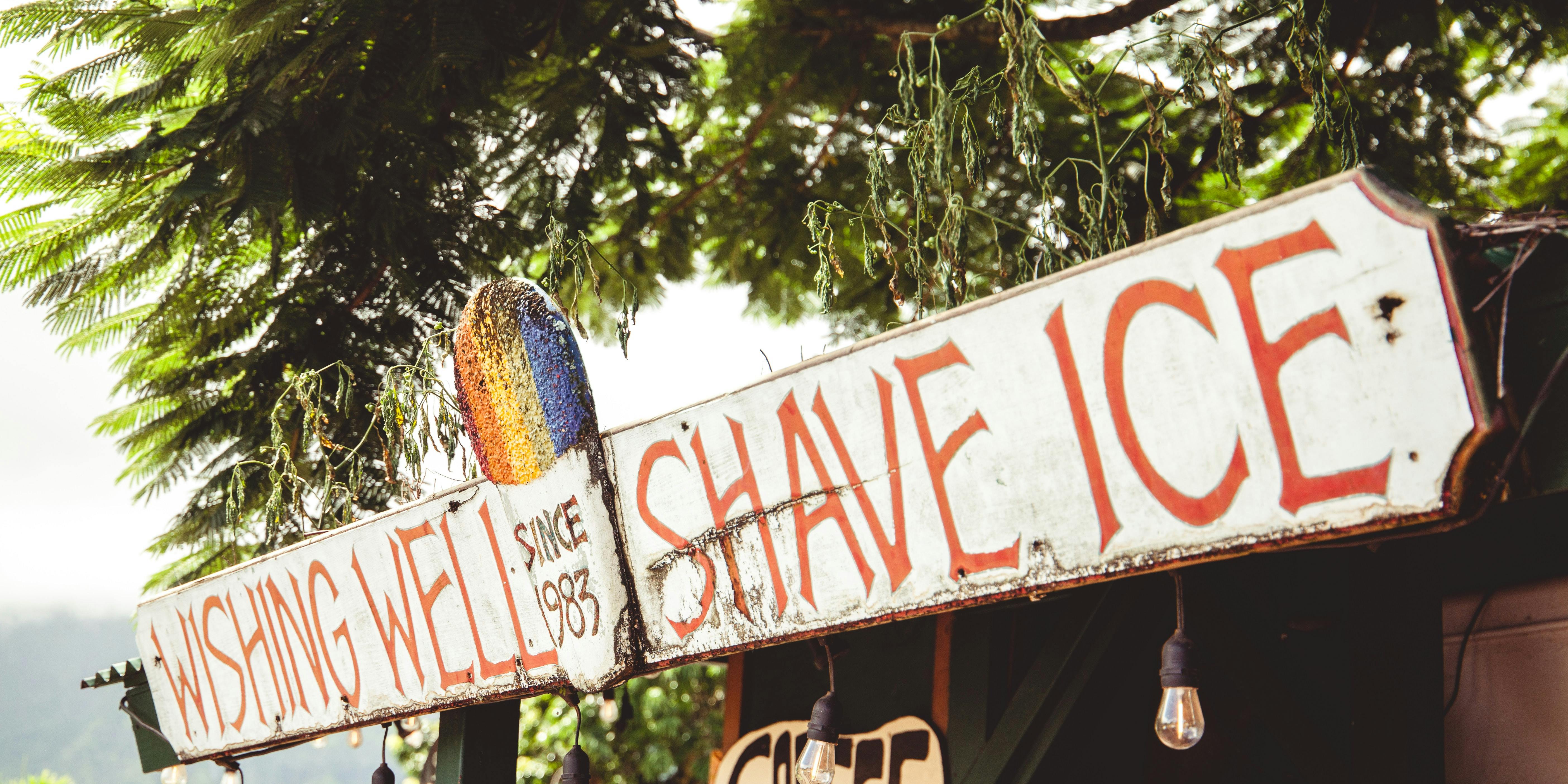 Shaved Ice Business Names + Free Logos