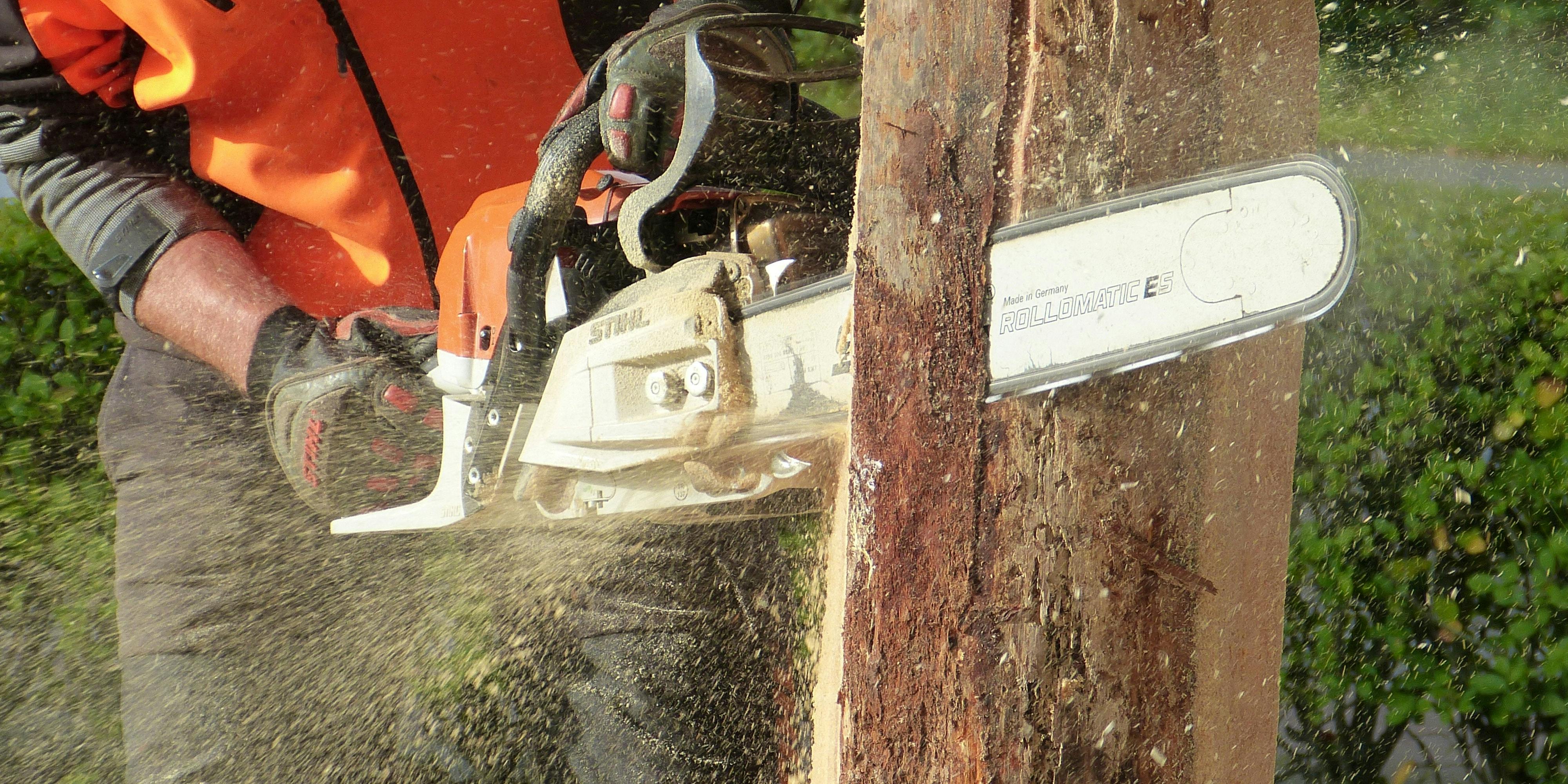 Tree Service Business Names + Free Logos